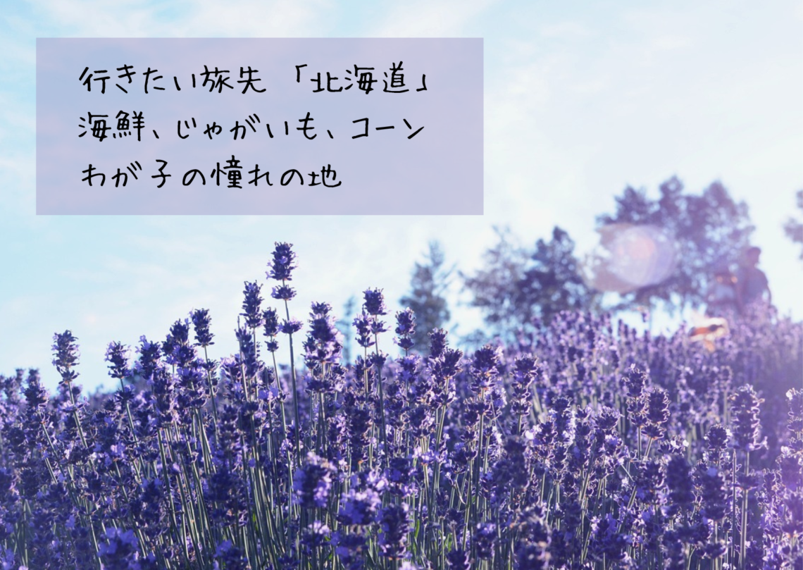 アレっ子との旅行への恐怖心。経験させるために飛び越えてみた - Allecolle