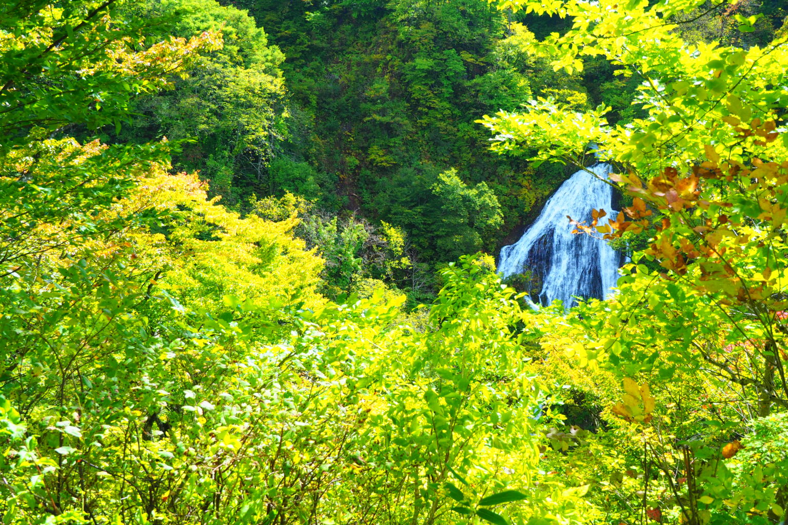 【旅するアレっ子厳選】国内推し旅先その1：山形県鶴岡市（全3篇） - Allecolle