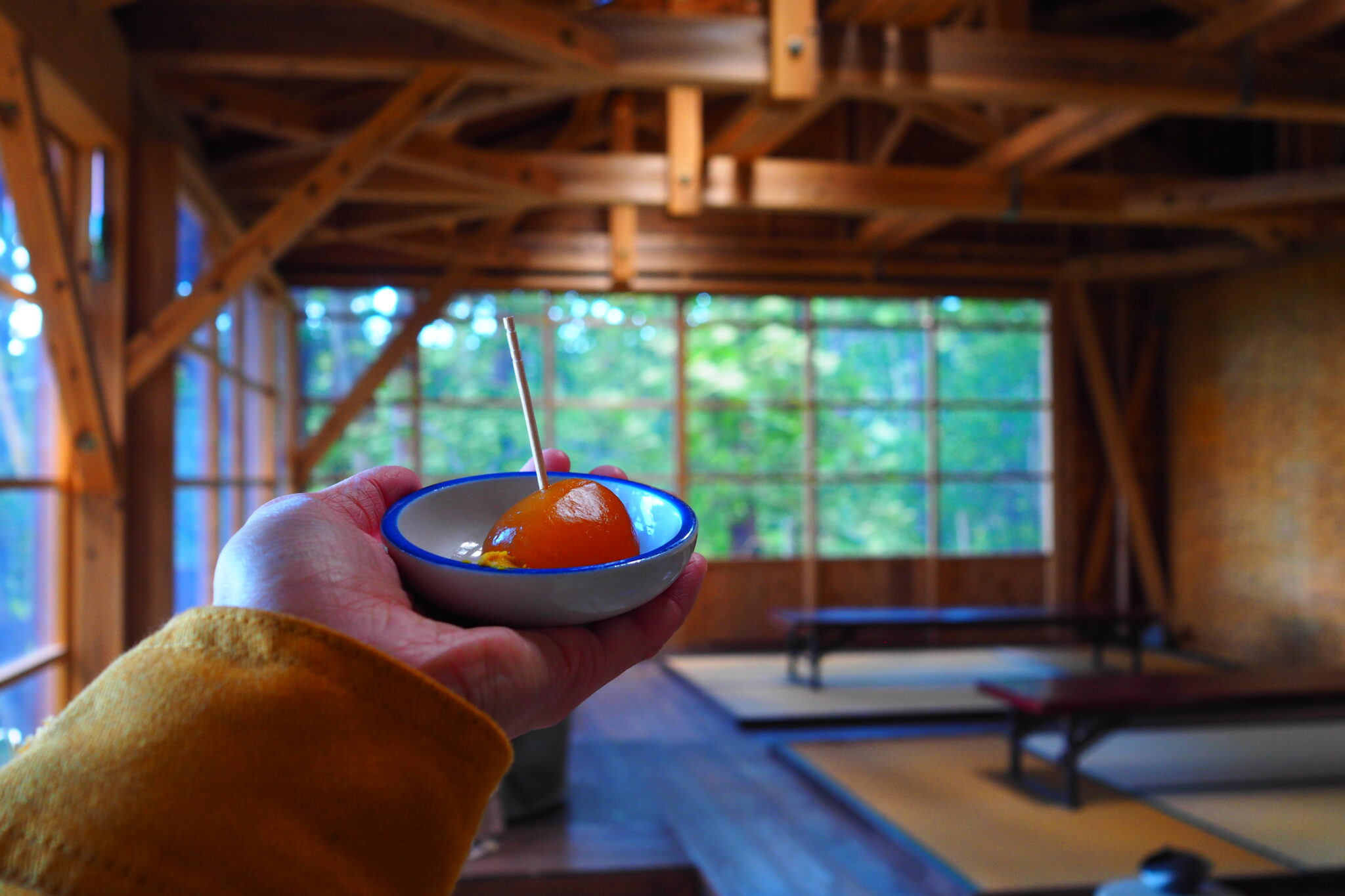 【旅するアレっ子厳選】国内推し旅先その1：山形県鶴岡市（全3篇） - Allecolle