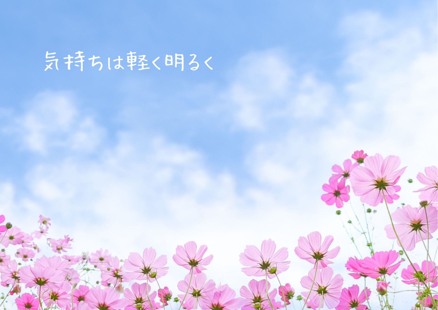 簡単、楽ちん、お弁当おかず。作らないで使っちゃおう - Allecolle