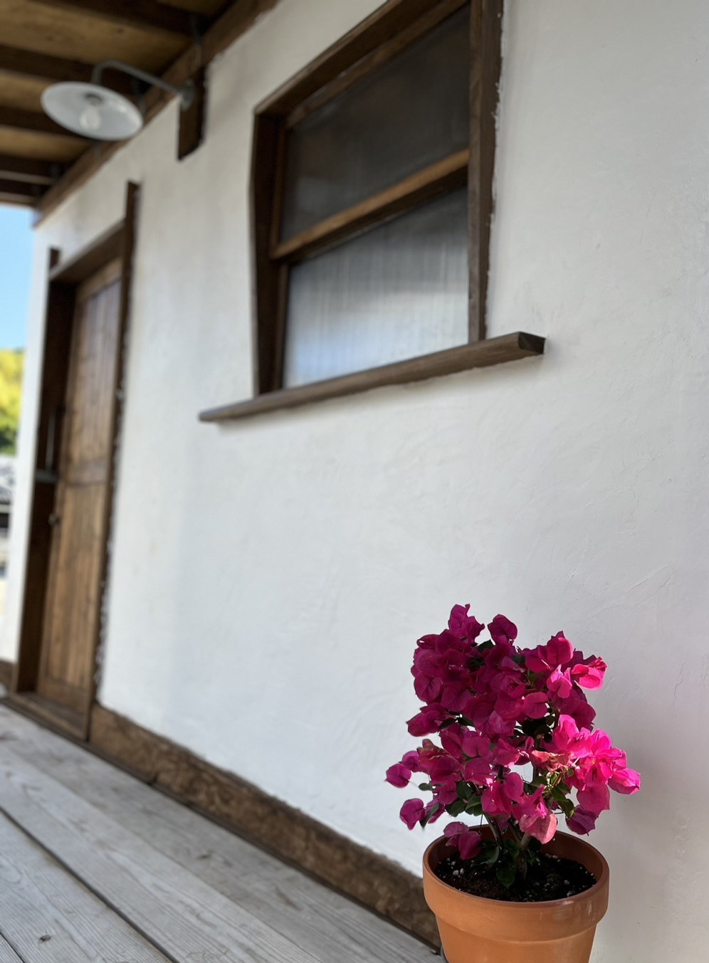 米粉とは思えないふわふわしっとりマフィン「ばぁばのやさしいおやつ」。30分で売り切れてしまう植物性マフィンも発売！ - Allecolle